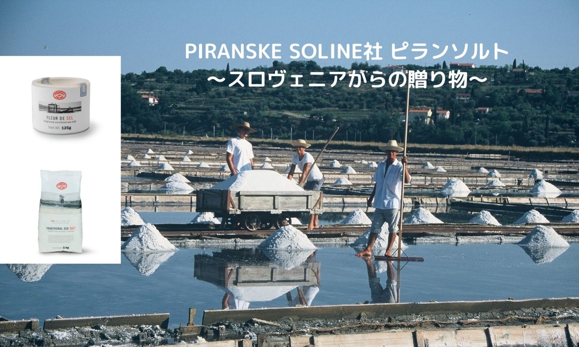 ピランソルト | 食彩アドコム